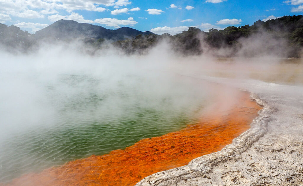 Adrenaline Rush Ride and Seek in the Southern Hemisphere - Swanky Retreats